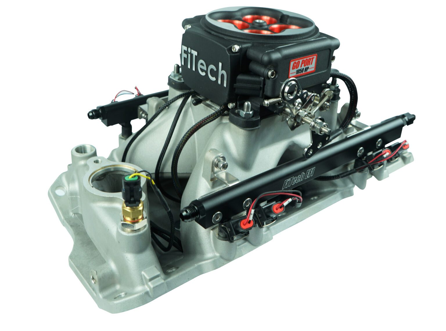 37854 Go Port 200-550 HP Chevy Small Block Port EFI System - FiTech ...
