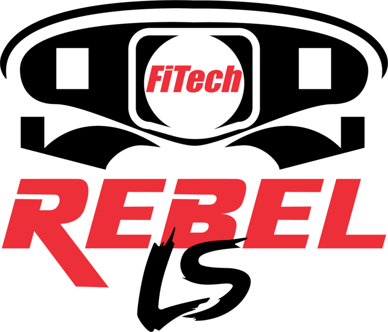 70089 Ultimate Rebel LS 500 HP EFI System with Trans Control - FiTech ...