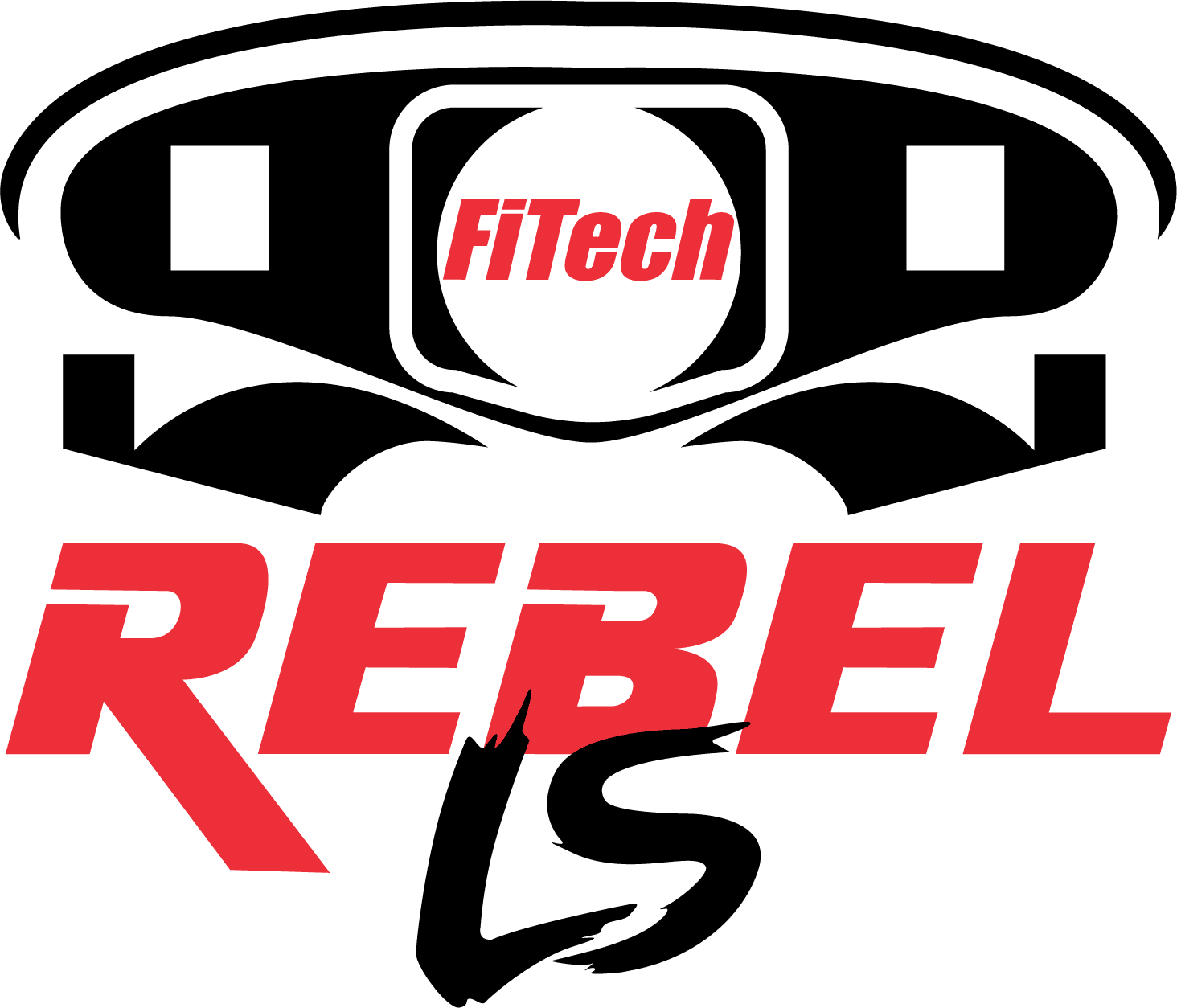 70089 Ultimate Rebel LS 500 HP EFI System with Trans Control - FiTech ...