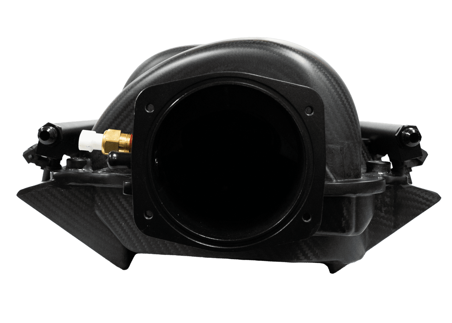 Carbon Fiber LS - FiTech Fuel Injection